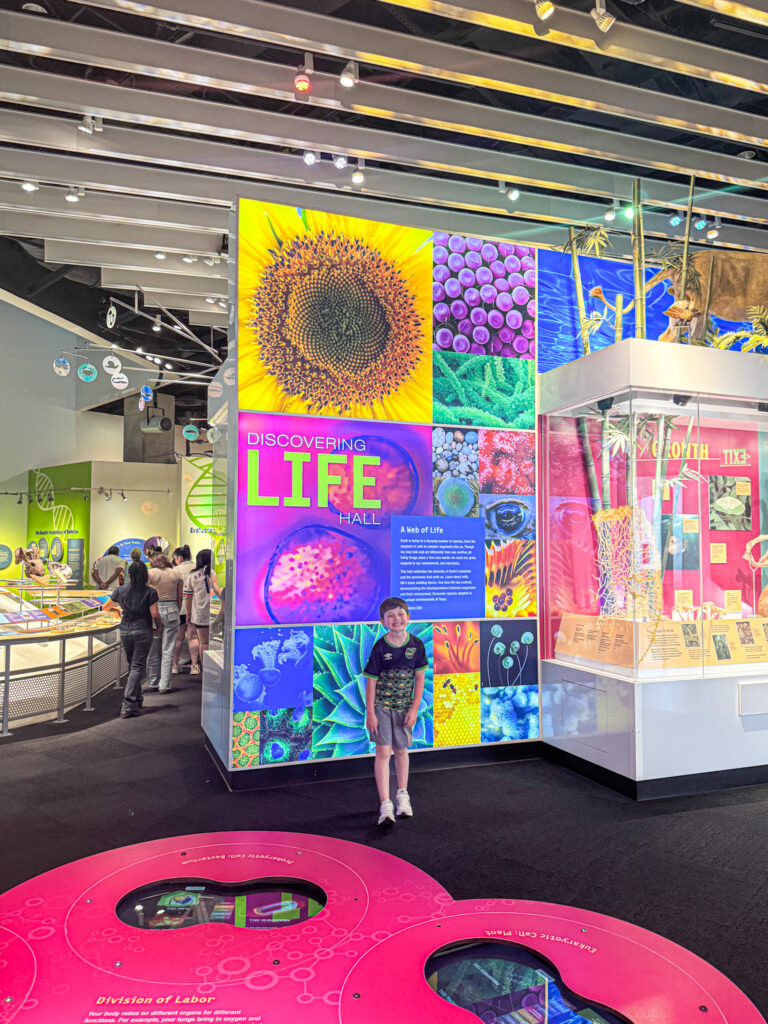 Visiting the Perot Museum in Dallas: What to Know Before You Go - Four ...